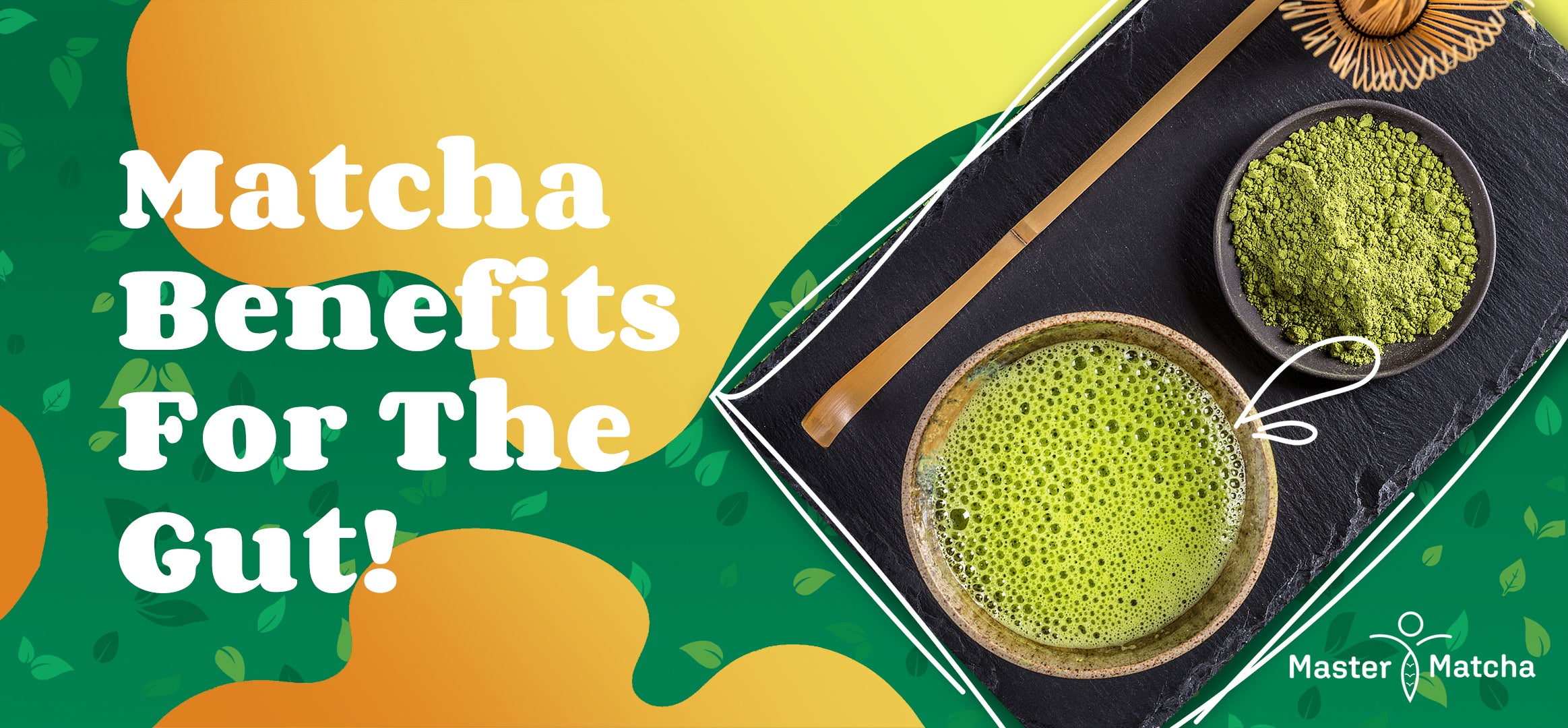 A Happy Gut: The Benefits of Matcha – Master Matcha